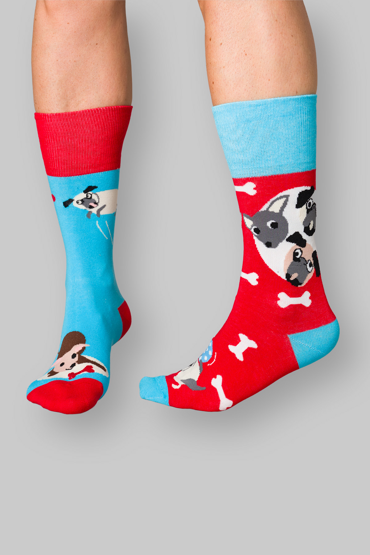 DOGS veselé ponožky, psíci, kombinácia farieb, lacné ponožky, modro červené